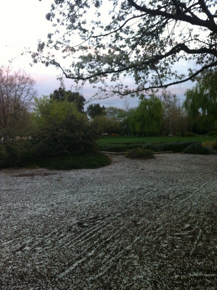 Davis Bike Loop, Camphor Ln, Davis, CA - MapQuest