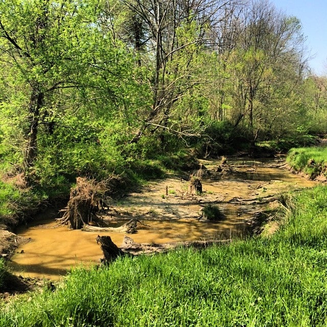 Third Fork Creek Trail, Courtland Dr, Durham, NC - MapQuest