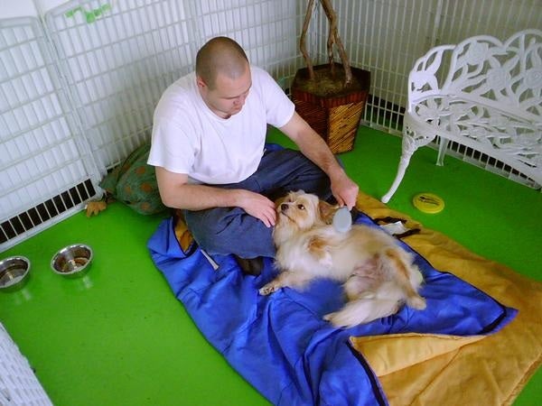 Small Town Dog: Las Vegas Dog Boarding - CLOSED, 3430 E Tropicana Ave ...