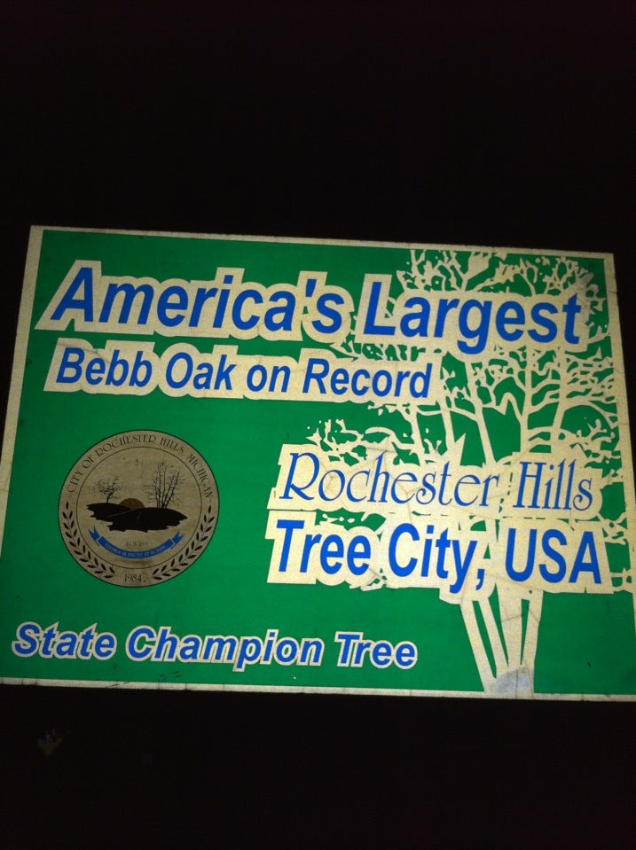 America's Largest Bebb Oak Tree, 3052 S Livernois Rd, Rochester Hills ...