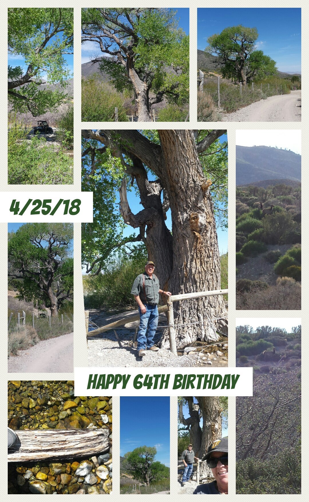 Cold Creek Pond, Las Vegas, NV - MapQuest