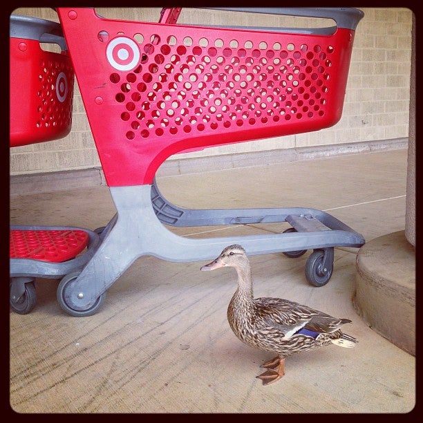 Target, 2920 Yorba Linda Blvd, Fullerton, CA, Department Stores - MapQuest