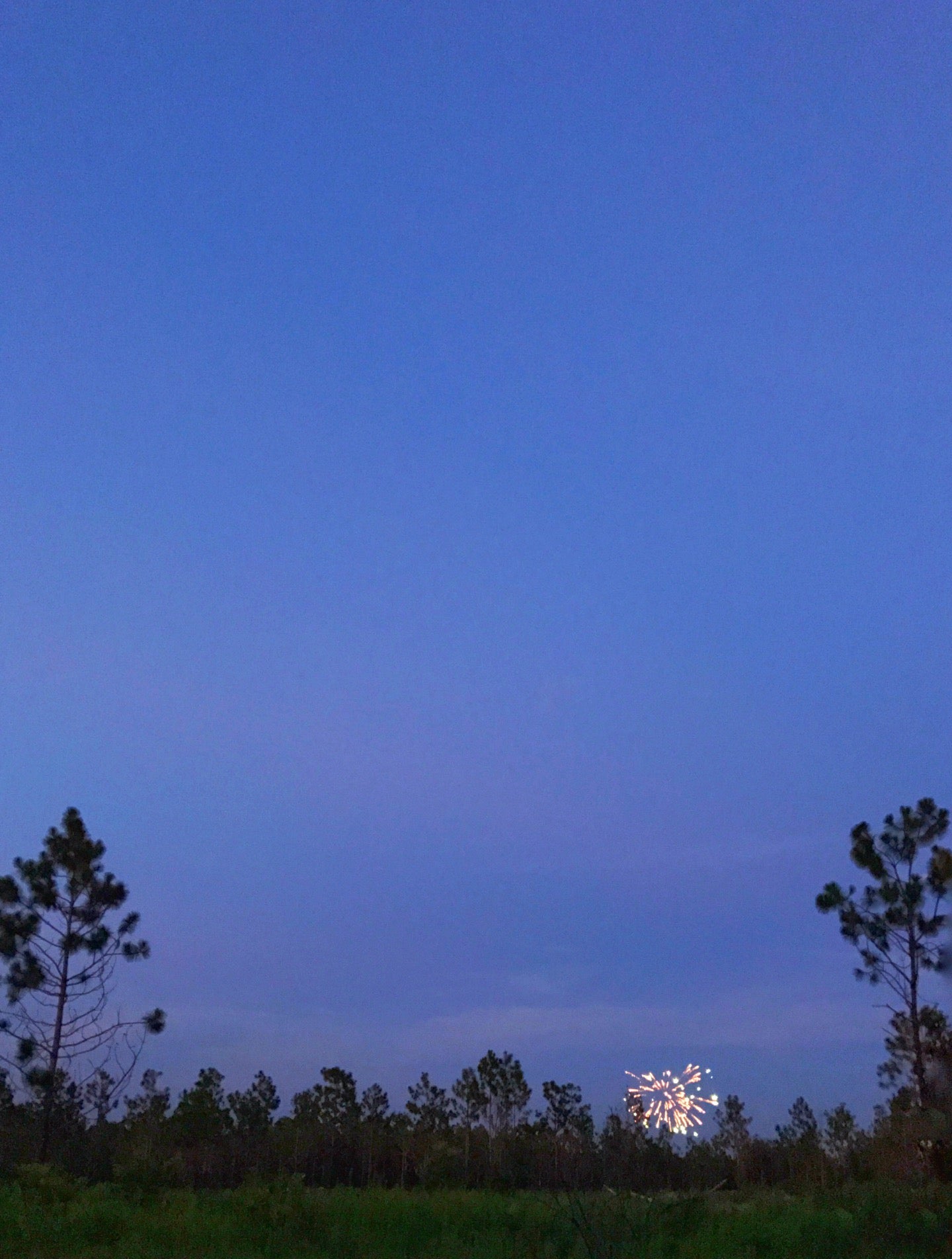 Cross Florida Greenway Park - Baseline Trailhead, Ocala, FL - MapQuest