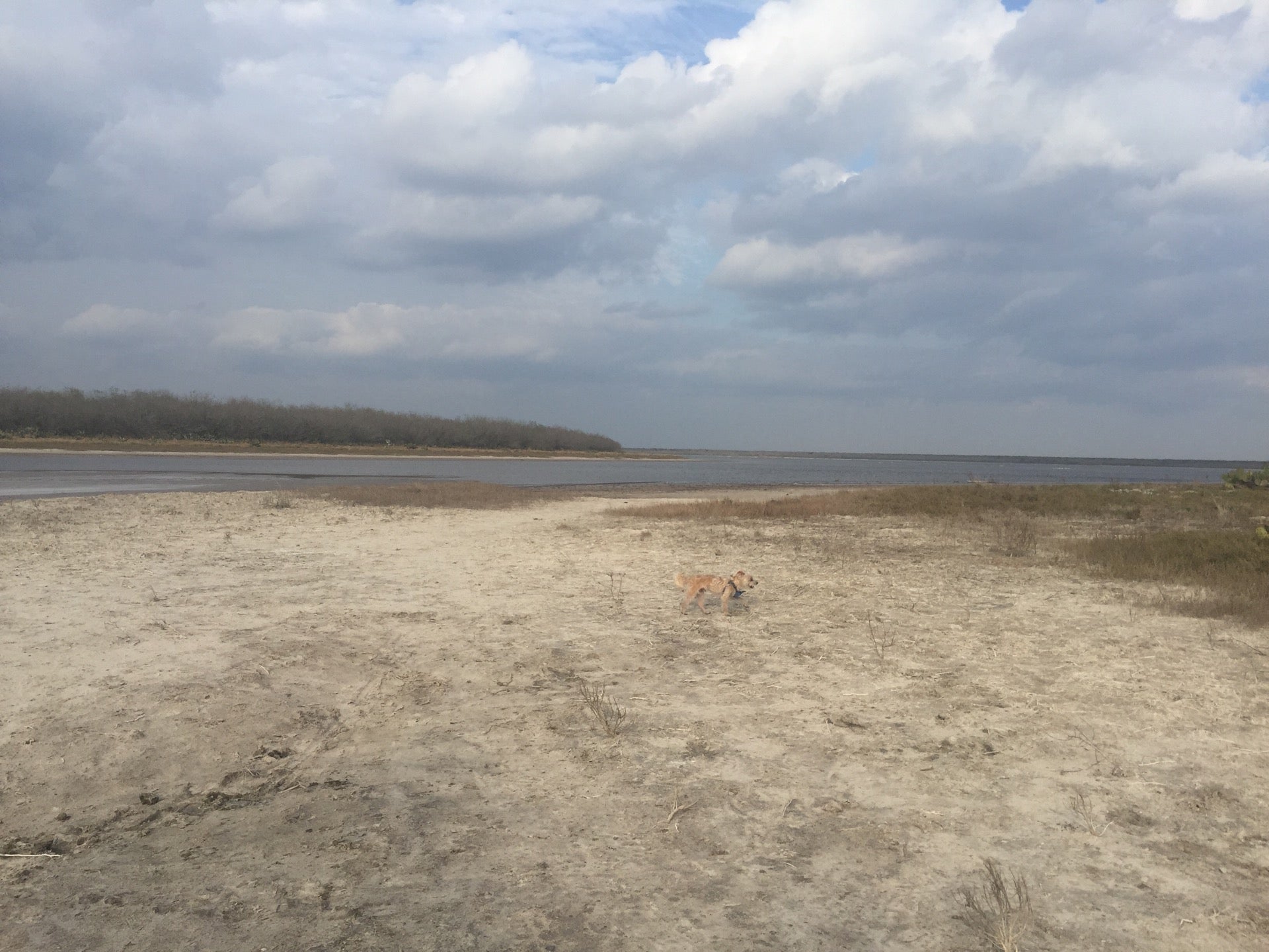 La Sal del Rey, TX-186, Linn, TX, Parks - MapQuest