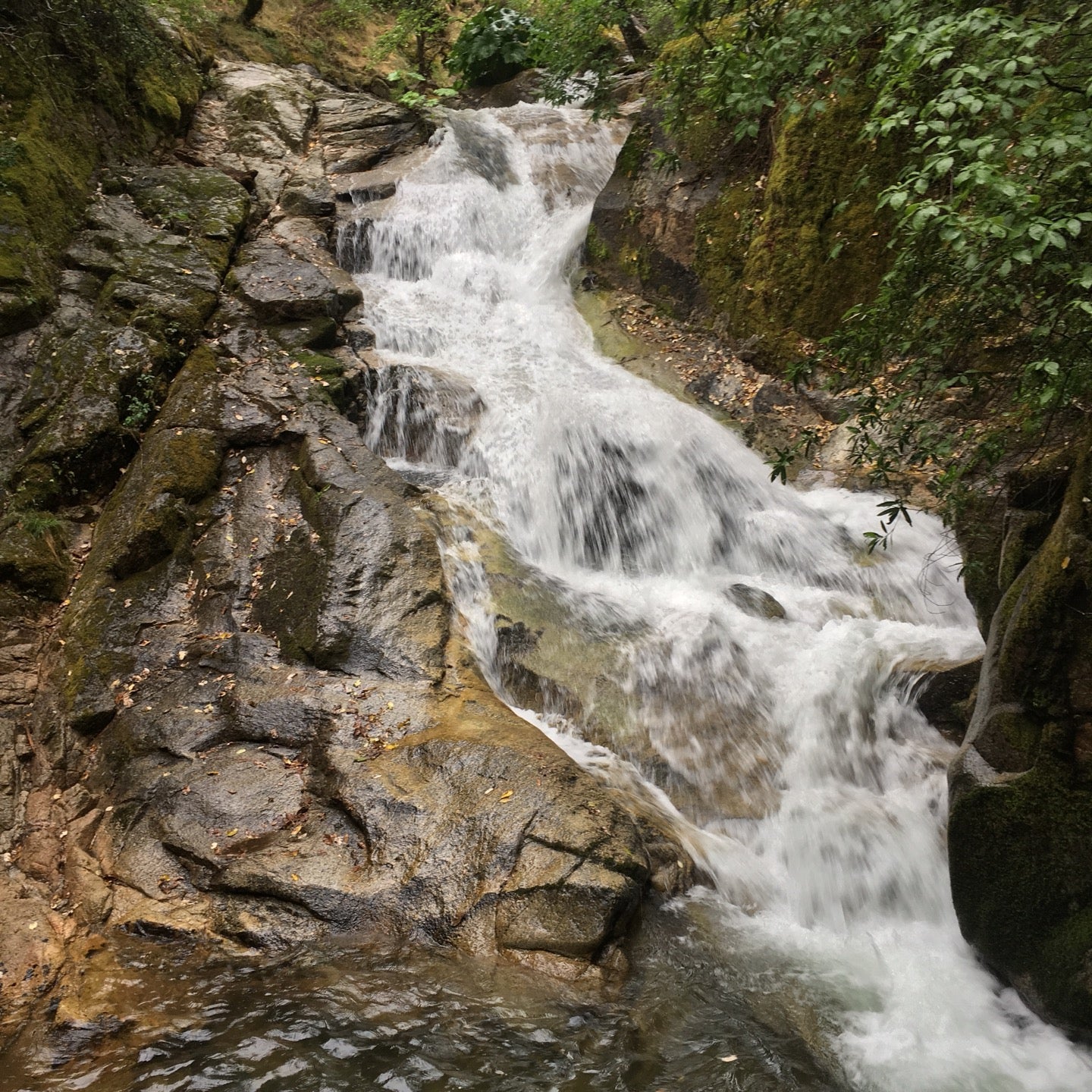 Feather Falls Trail, Brereton Way, Oroville, CA, Outdoor Sports - MapQuest