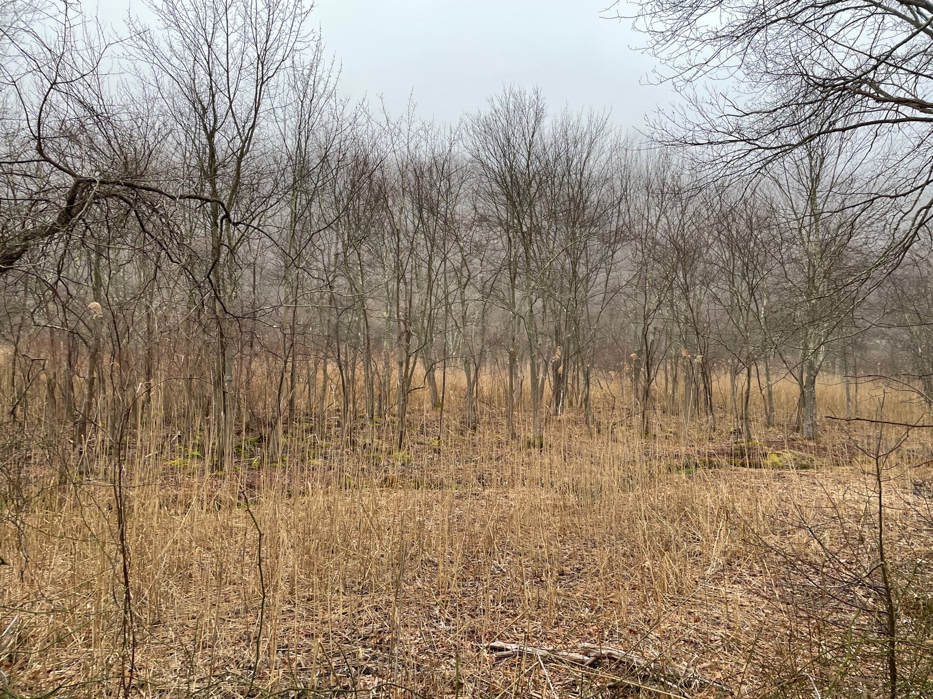 Nassau / Suffolk County Border, Woodbury, NY - MapQuest