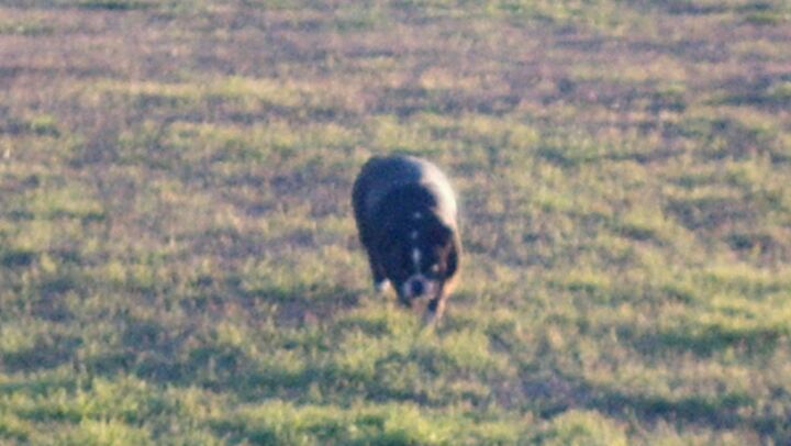 Lott, TX Map & Directions - MapQuest