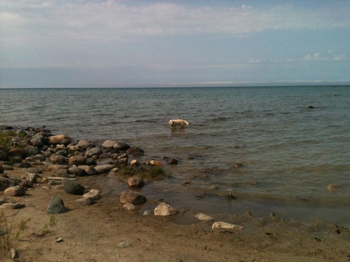 Macgregor Point Dog Beach, Port Elgin, ON, Beach - MapQuest