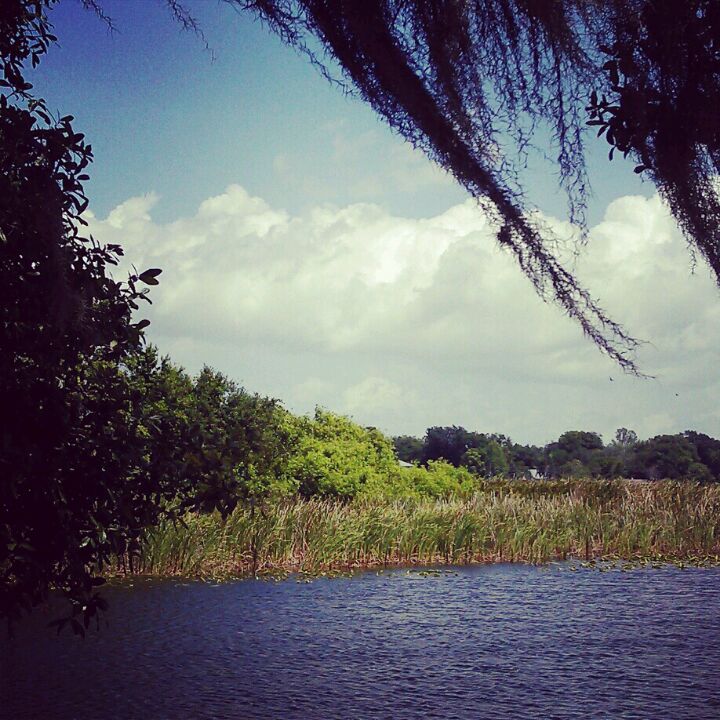 Ocoee, FL Map & Directions - MapQuest