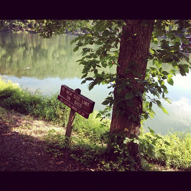 White Bluff, TN Map & Directions - MapQuest