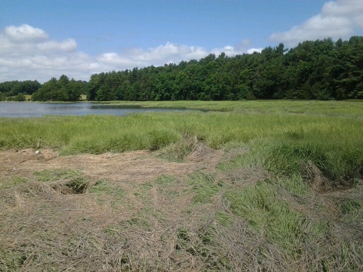 Adams Point Wildlife Management Area, Adams Point Rd, Durham, NH - MapQuest