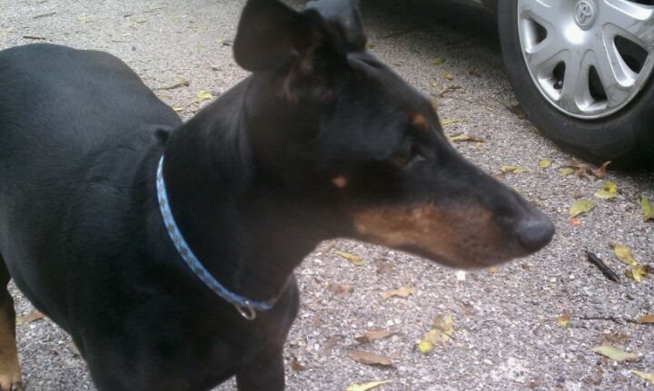 Jemison, AL Map & Directions - MapQuest