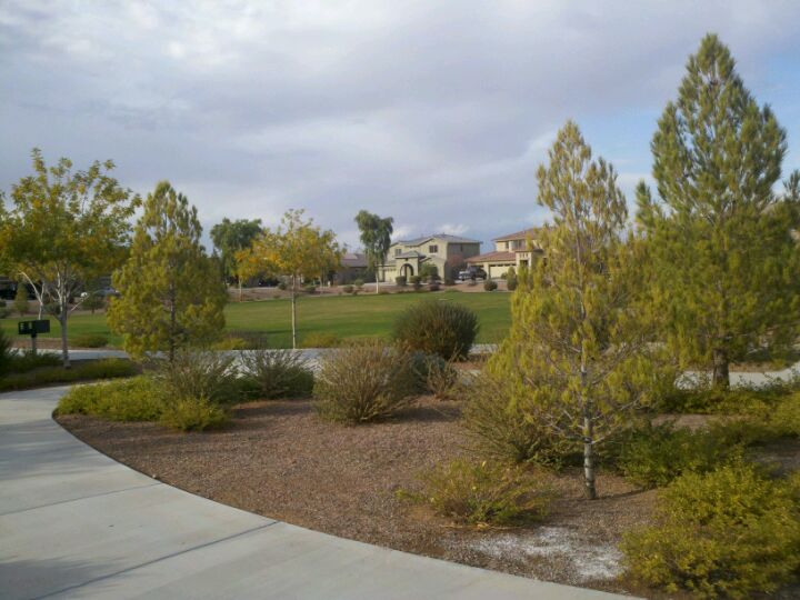 Wittmann, AZ Map & Directions - MapQuest