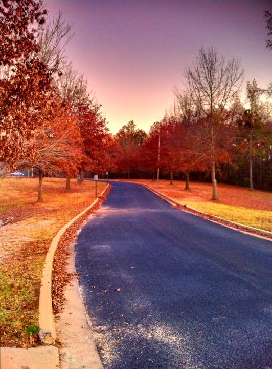 Jenkinsville, SC Map & Directions - MapQuest