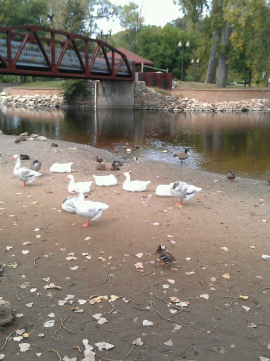 Eagle, MI Map & Directions - MapQuest