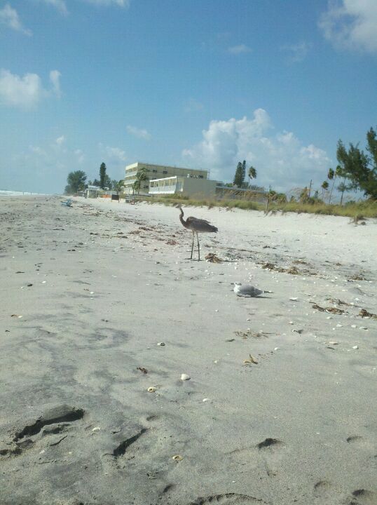 Stump Pass Beach State Park, 900 Gulf Blvd, Englewood, FL, Parks - MapQuest