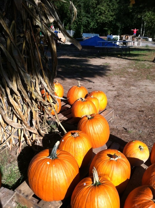 Indian Acres Tree Farm, 111 Tuckerton Rd, Medford Twp, NJ, Landscaping ...