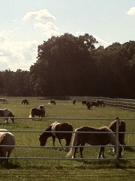 Westfield, WI Map & Directions - MapQuest