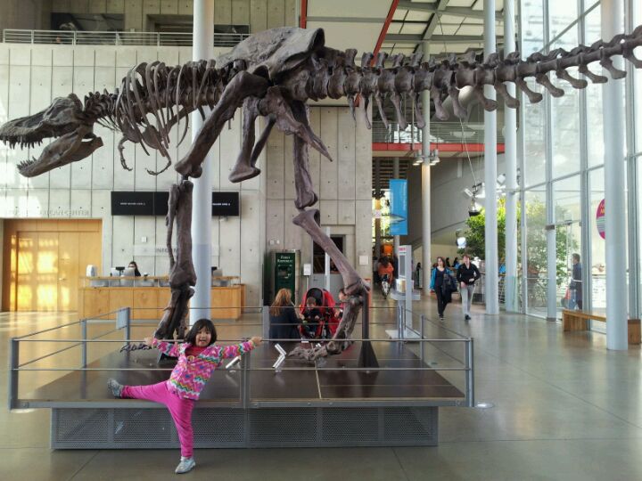 Kimball Natural History Museum, 55 Music Concourse Dr, San Francisco ...