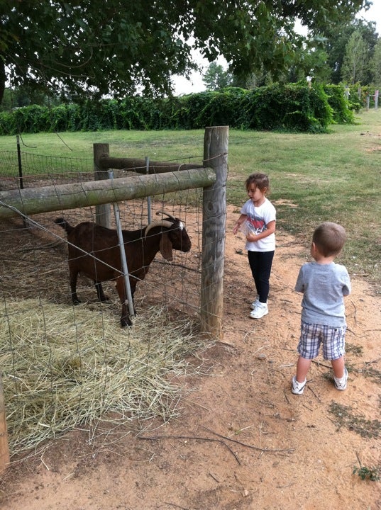 Callaham Orchards, 559 Crawford Rd Halfway Between Belton & Williamston ...