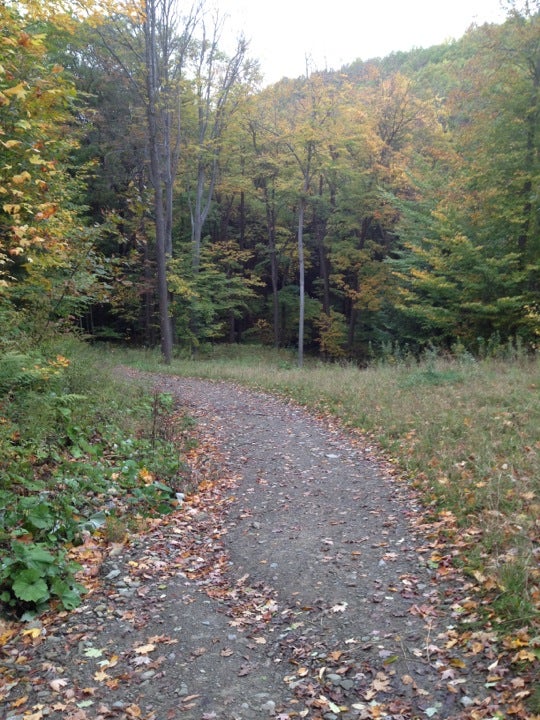 Wintergreen Gorge, Erie, PA - MapQuest