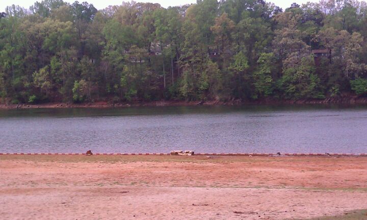 Clarks Bridge Park, 3105 Clarks Bridge Rd, Gainesville, GA - MapQuest