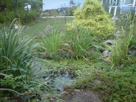 Minier, IL Map & Directions - MapQuest