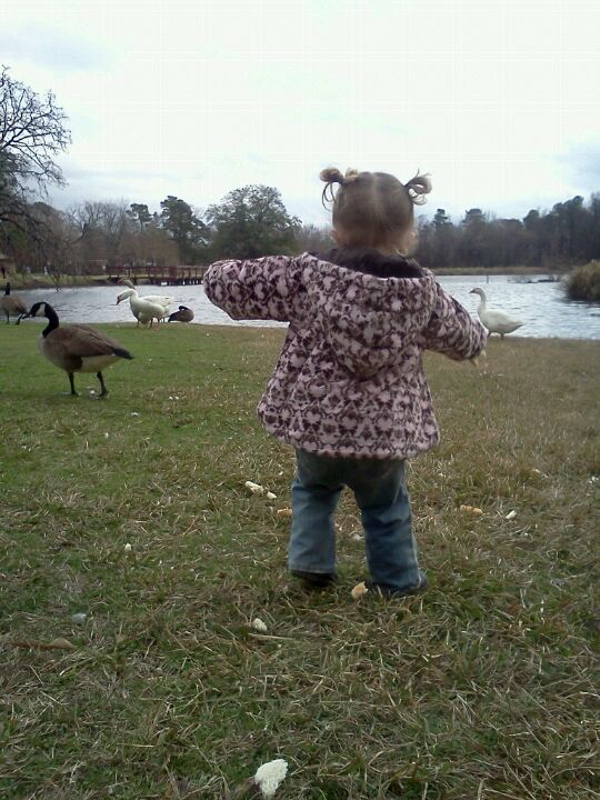 Spring Lake Park Splash Pad, 2 Fairground Ave, Texarkana, TX, Parks ...