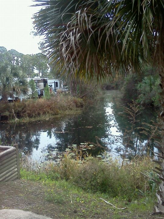 Gator Pond, 1701 N US Highway 1, Ormond Beach, FL, Lake - MapQuest