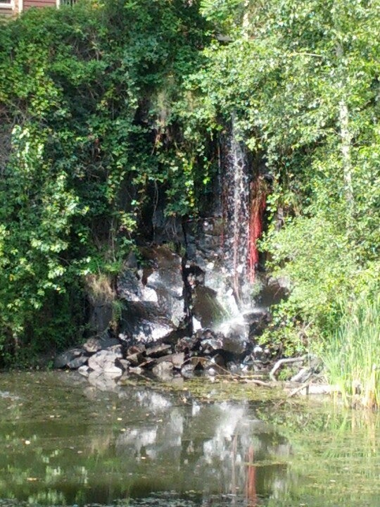 Forest Rim Apartments, 6765 SW Nyberg St, Tualatin, OR, Property ...