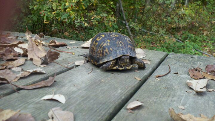 Solsberry, IN Map & Directions - MapQuest