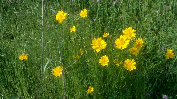 Springboro, OH Map & Directions - MapQuest