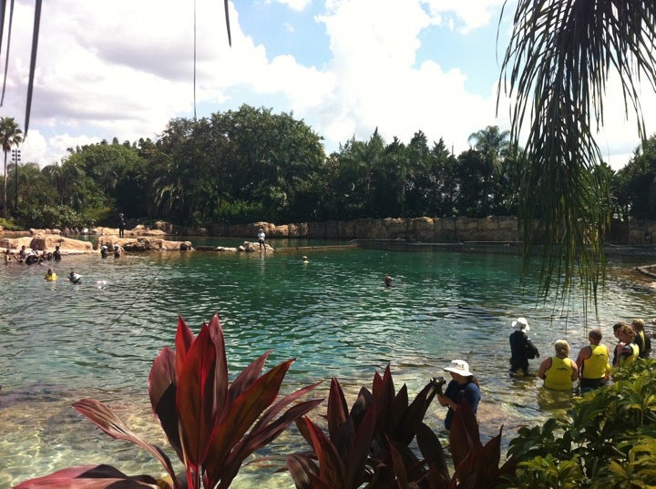 Discovery Cove, 6000 Discovery Cove Way, Orlando, FL, Delivery Service ...