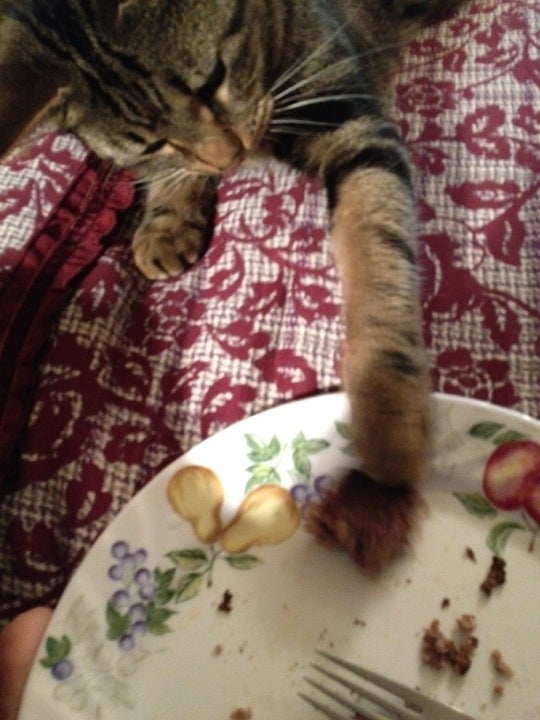 Benjamin Tasker Middle School, 4901 Collington Rd, Bowie, MD - MapQuest