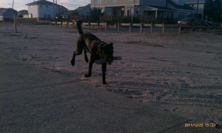 Breezy Point Surf Club, 1 Beach 227Th St, Breezy Point, NY, Surfing ...