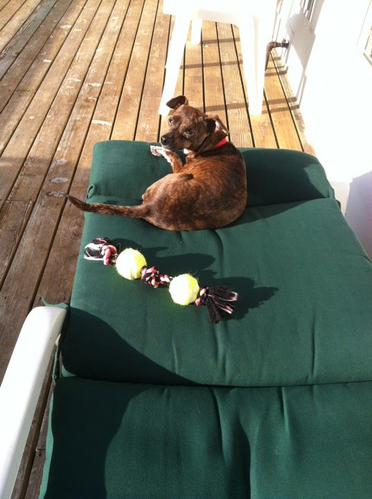 Grapeview, WA Map & Directions - MapQuest