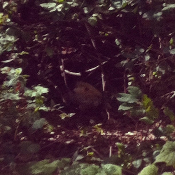 Freeland, MI Map & Directions - MapQuest