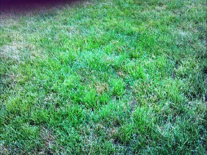 Landrigan Field, Hemlock Rd, Wakefield, MA - MapQuest