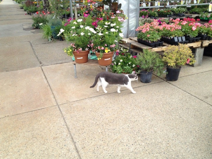 Flowerland, 4321 28th St SE, Grand Rapids, MI, Retail nurseries - MapQuest