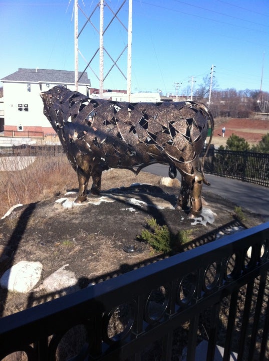 Anatomically Correct Sculpture of A Bull, Riverwalk Way, Manchester, NH ...