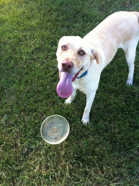 Clinton, MI Map & Directions - MapQuest