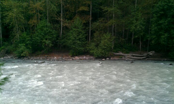 Game Farm Wilderness Park, 2633-3499 Stuck River Dr, Auburn, WA ...