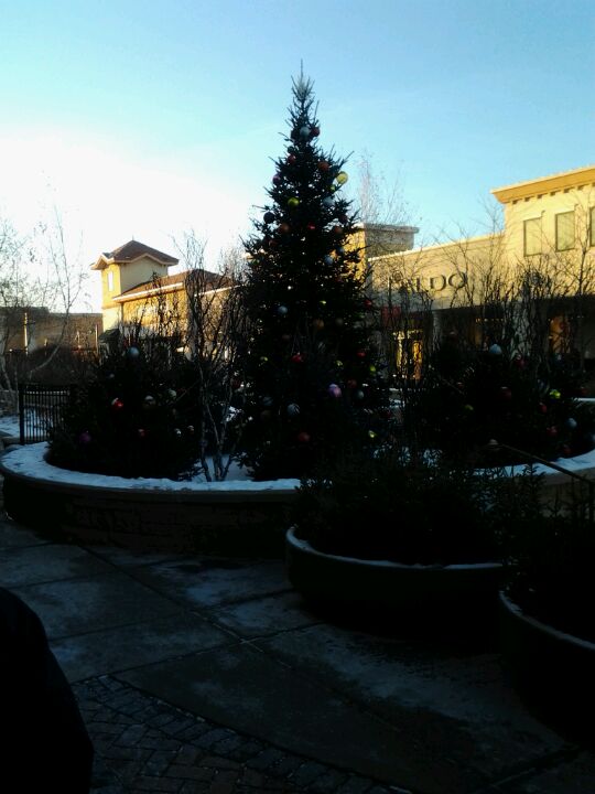 The Shoppes at Arbor Lakes, 12459 Elm Creek Blvd N, Maple Grove ...