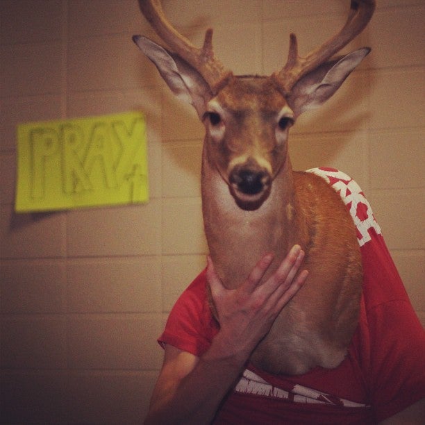 Jenkinsville, SC Map & Directions - MapQuest