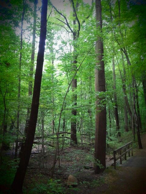 Goodyear Heights Metro Park, 2077 Newton St, Akron, OH, Parks - MapQuest