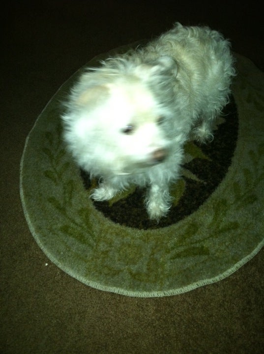 Dix, IL Map & Directions - MapQuest