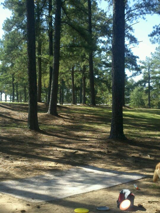 Cottondale, AL Map & Directions - MapQuest