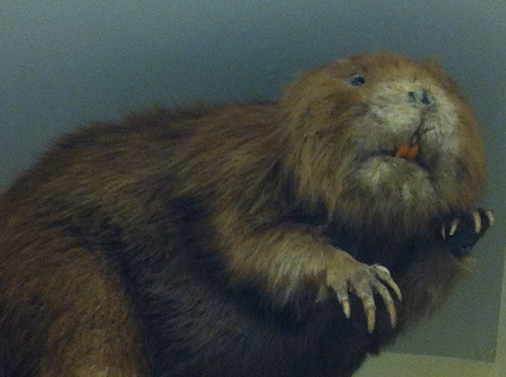 East Jordan, MI Map & Directions - MapQuest