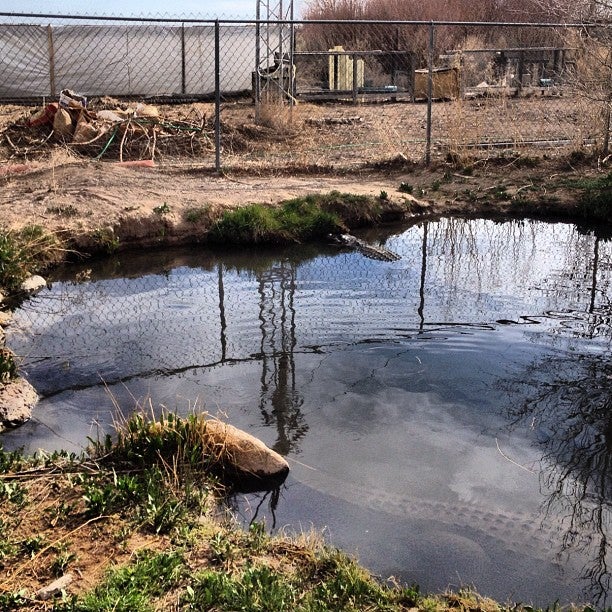 Mosca, CO Map & Directions - MapQuest