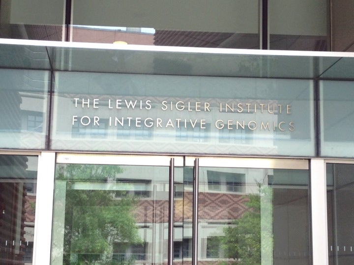 Carl Icahn Laboratory / Lewis-Sigler Institute for Integrative Genomics ...